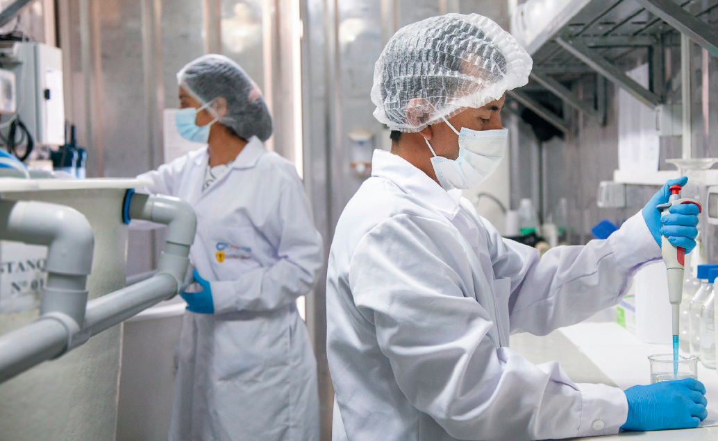 Manual Institucional de Bioseguridad y Biocustodia de Cayetano Heredia ...