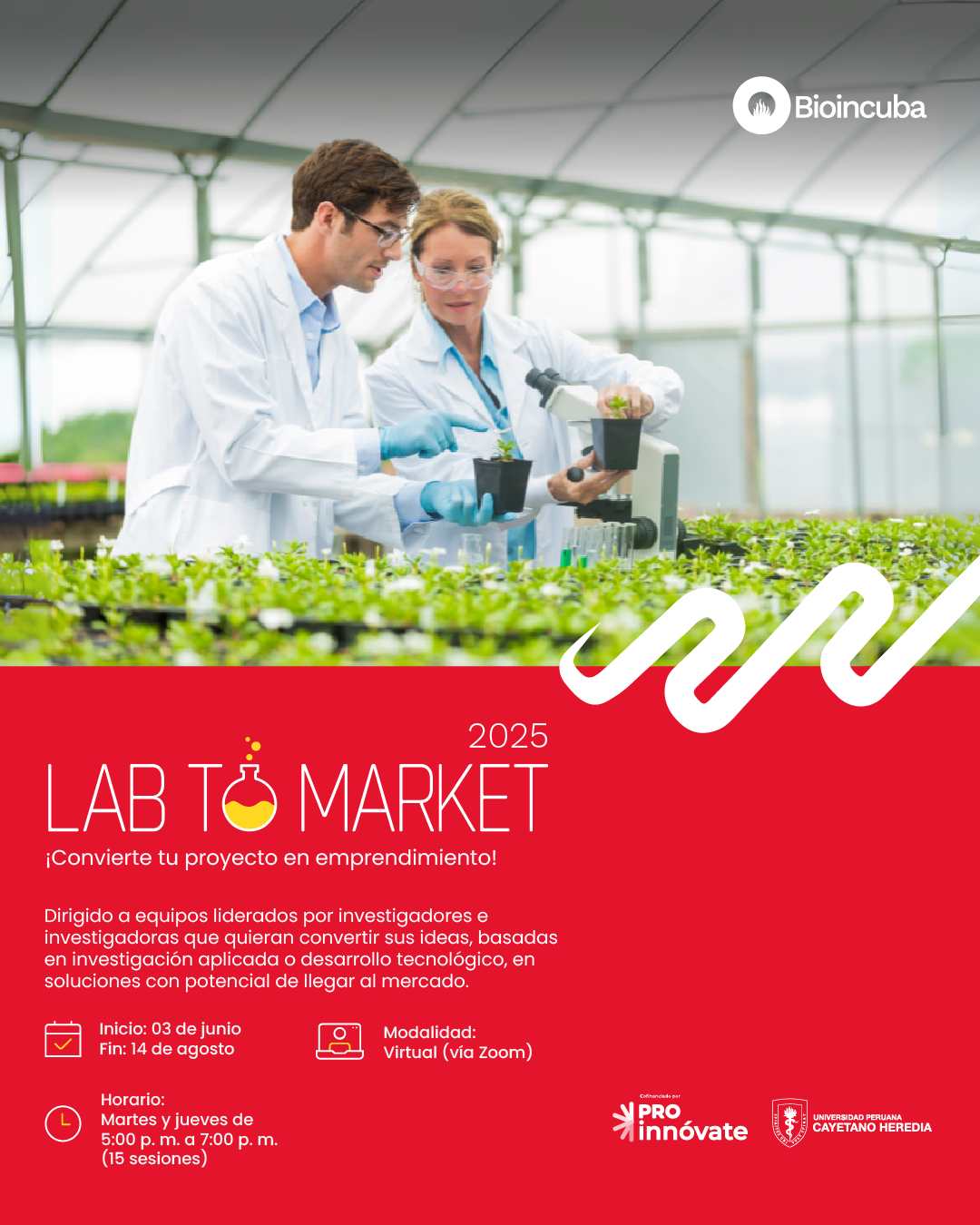 Convierte tu proyecto en un emprendimiento exitoso con Lab to Market ...